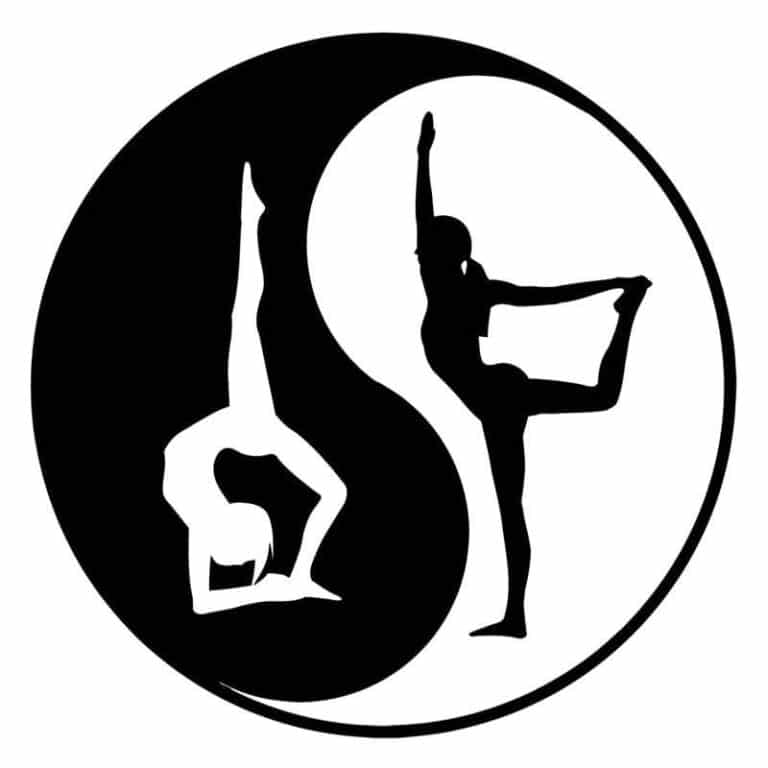 What is yin and yang yoga | AYM Yoga School Goa, India